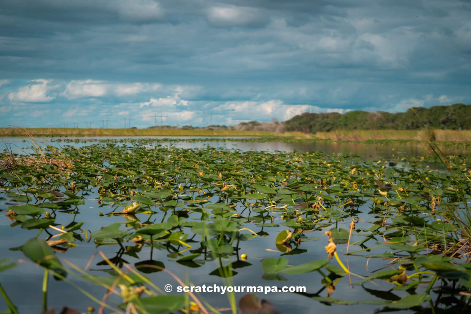 What to Expect on an Airboat Tour in the Everglades: A Complete Guide
