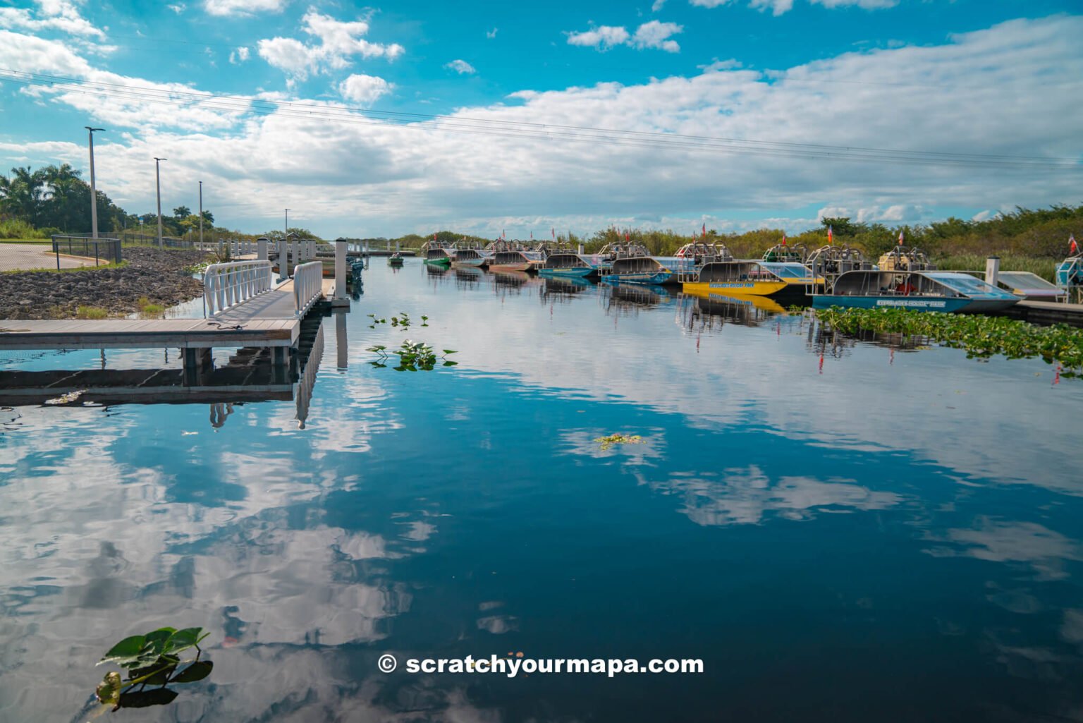 What to Expect on an Airboat Tour in the Everglades: A Complete Guide