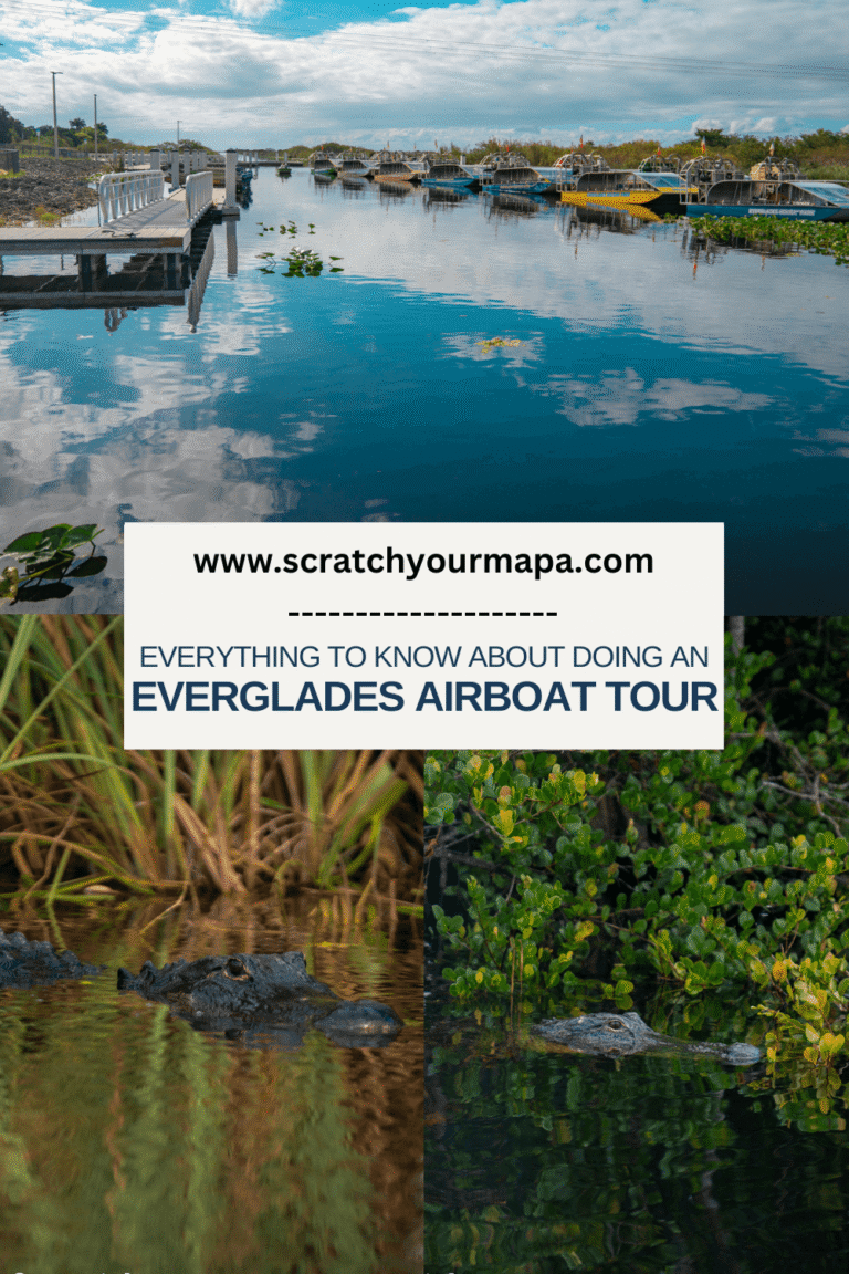 What to Expect on an Airboat Tour in the Everglades: A Complete Guide