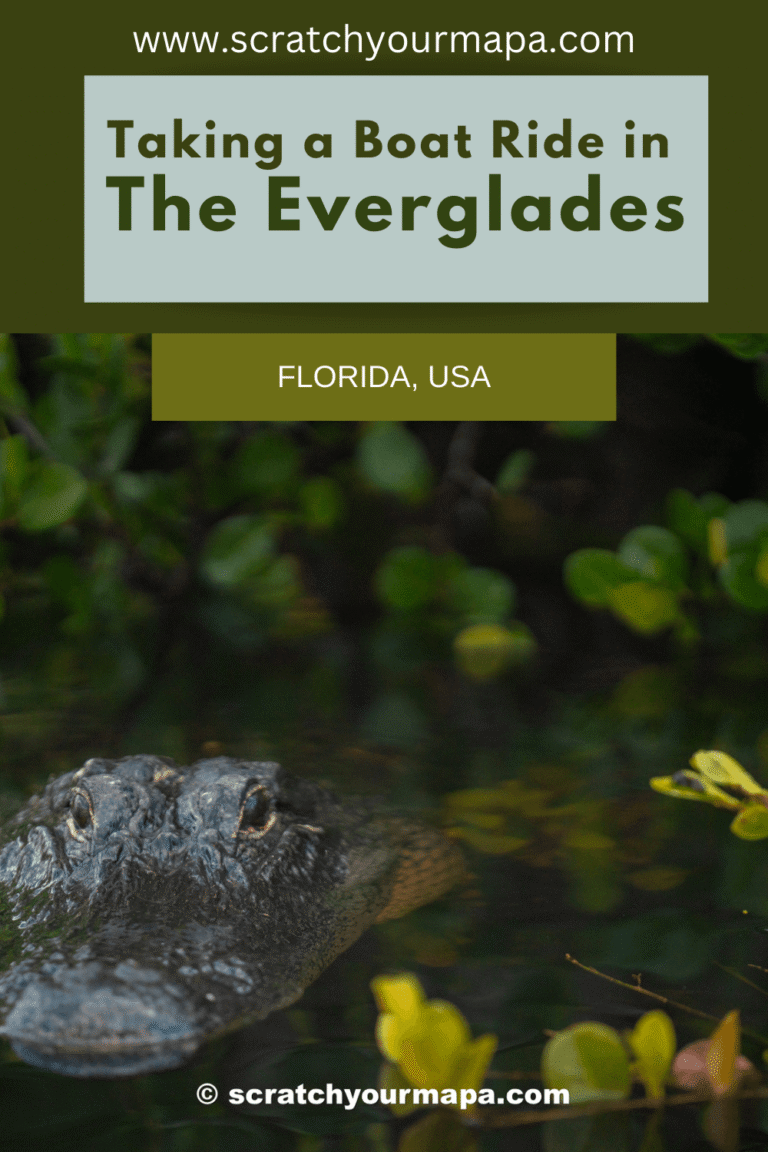 What to Expect on an Airboat Tour in the Everglades: A Complete Guide