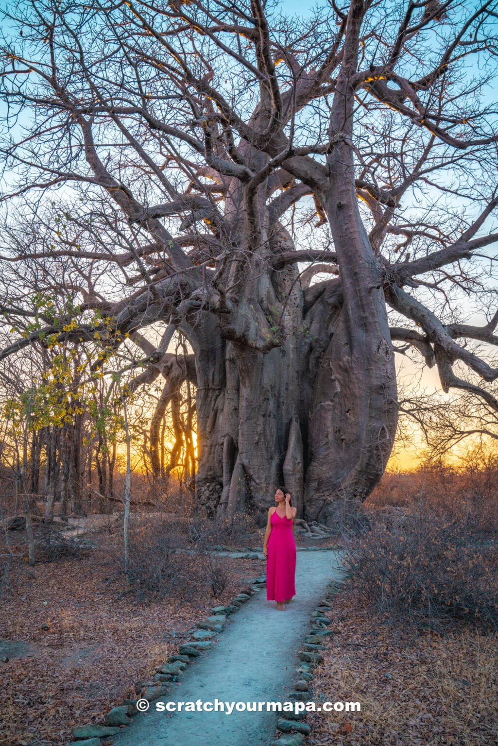 Visiting Botswana for the First Time: Everything You Need to Know ...