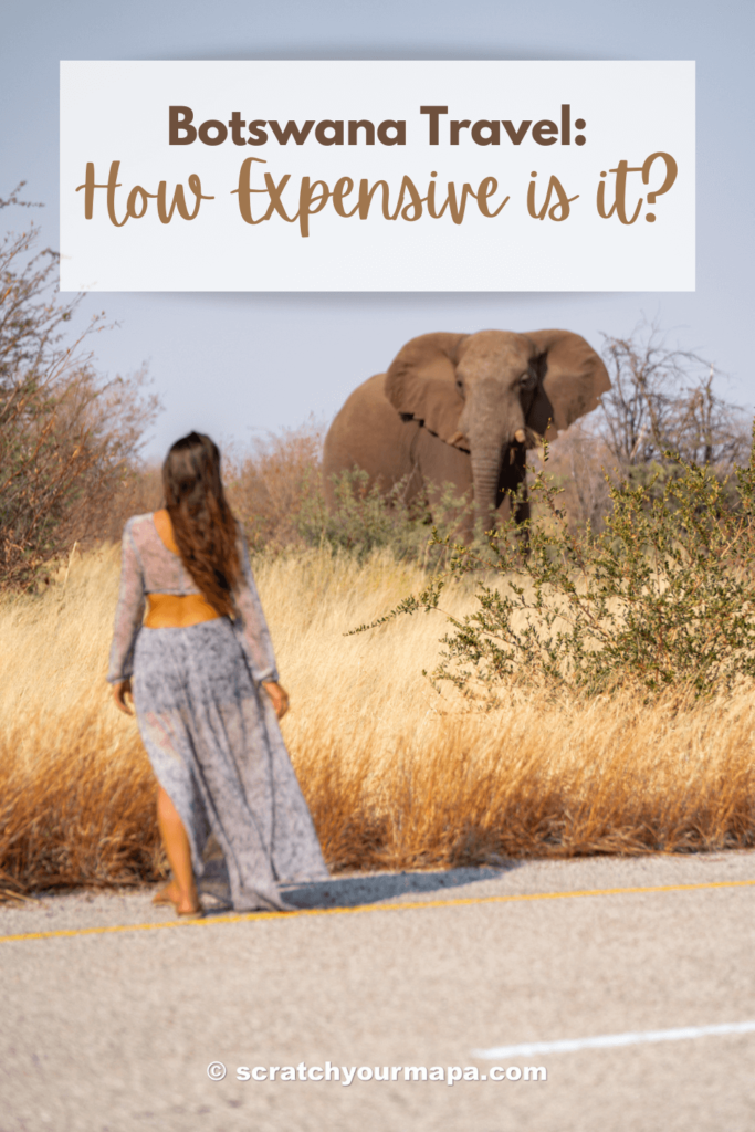 Is Botswana Expensive? A Cost Breakdown for Travelers - Scratch your mapa