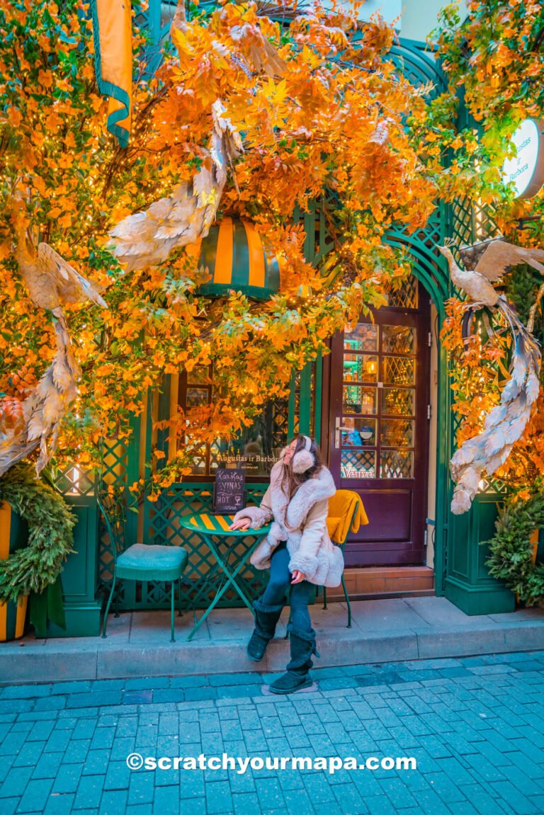 21 Amazing Things to Do in Vilnius, Lithuania for Every Type of ...