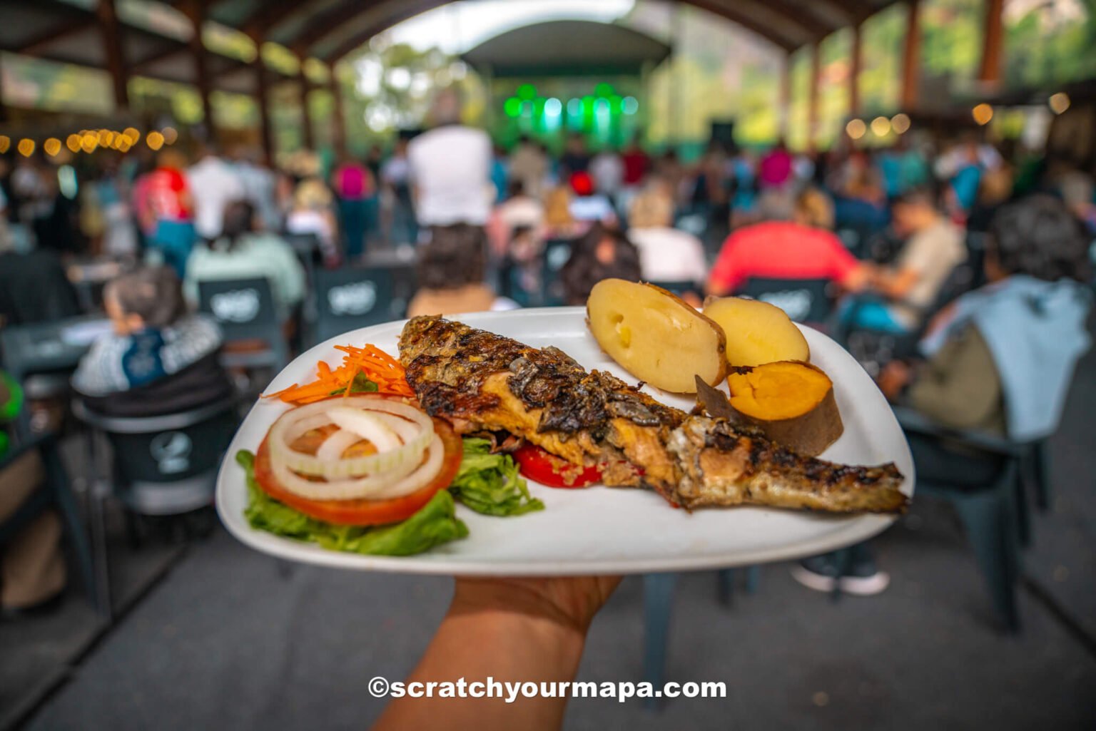 What to Eat in Madeira: Traditional Dishes, Drinks, and Where to Try ...