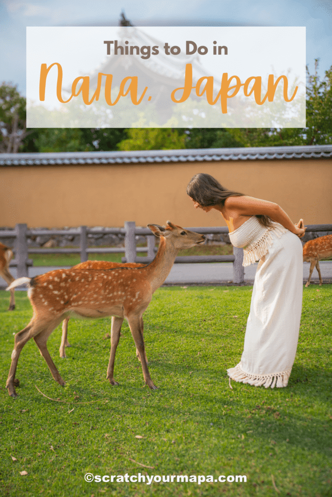 The Best Things to Do in Nara, Japan in One Day - Scratch your mapa
