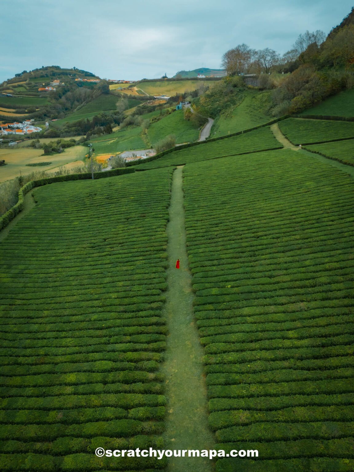 Complete Azores Travel Guide: Getting Around, Activities, and All the ...