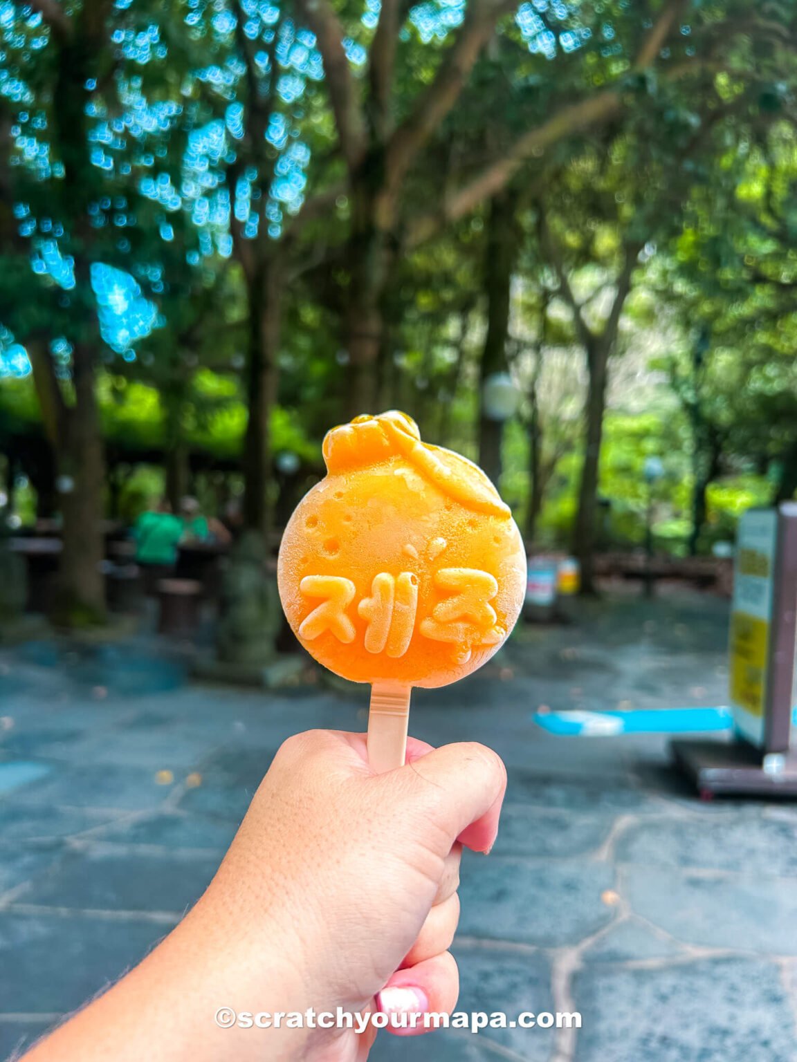 Jeju Food Guide: What to Eat, Fun Food Tours, & the Best Restaurants in ...